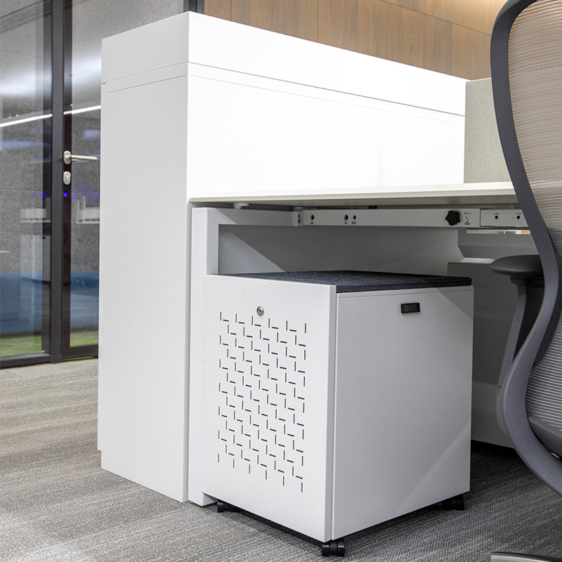 Pro-Type Acoustic Modular Desk Systems & Workstation – TFT Office Trend